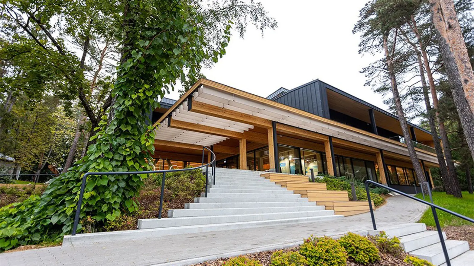 The Evolution of Public Libraries